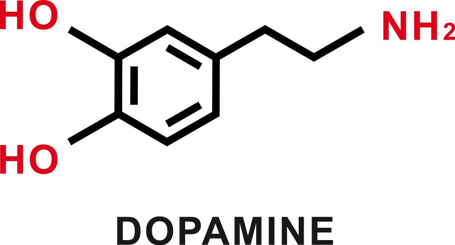 Dopamine Vector Images (over 1,100)