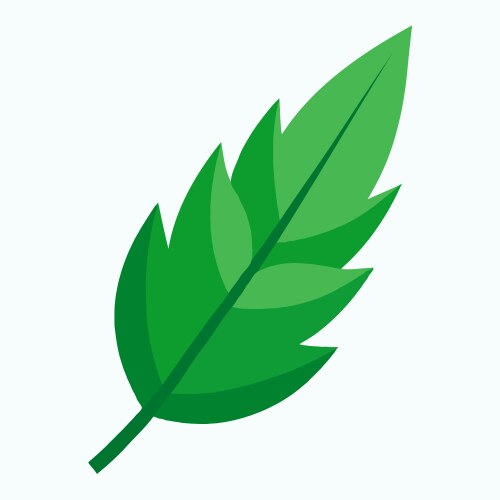 Neem Leaf Vector Neem Leaf Background Illustrations ~ Vectors | Pond5