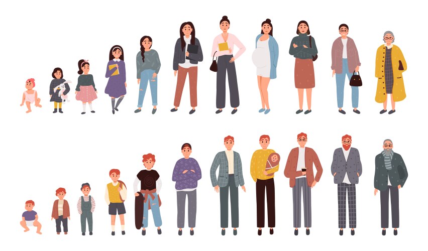 Human age man growing up stages from kid to old Vector Image