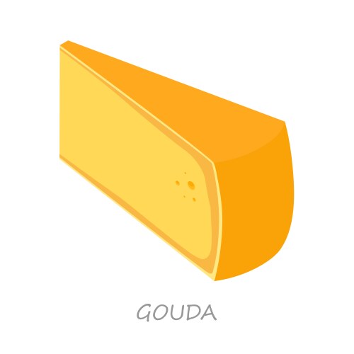 Gouda cheese isolated on white Royalty Free Vector Image