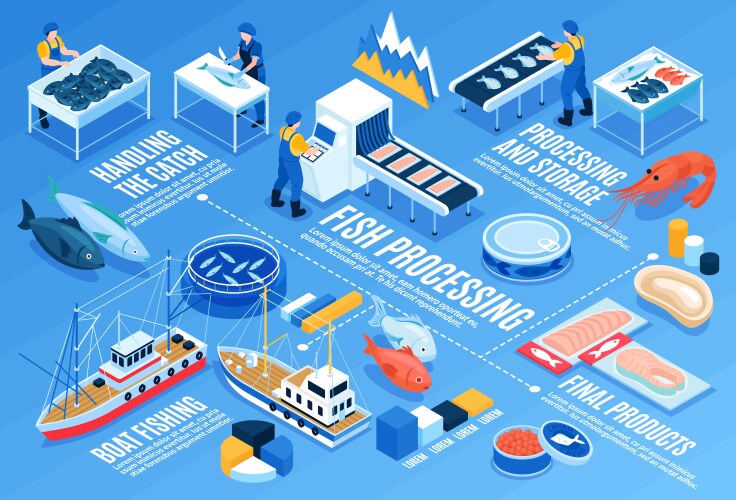 12 steps food infographics Royalty Free Vector Image