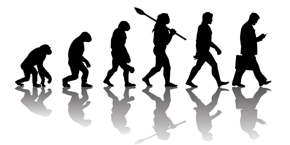 Human Evolution Timeline Royalty Free Vector Image