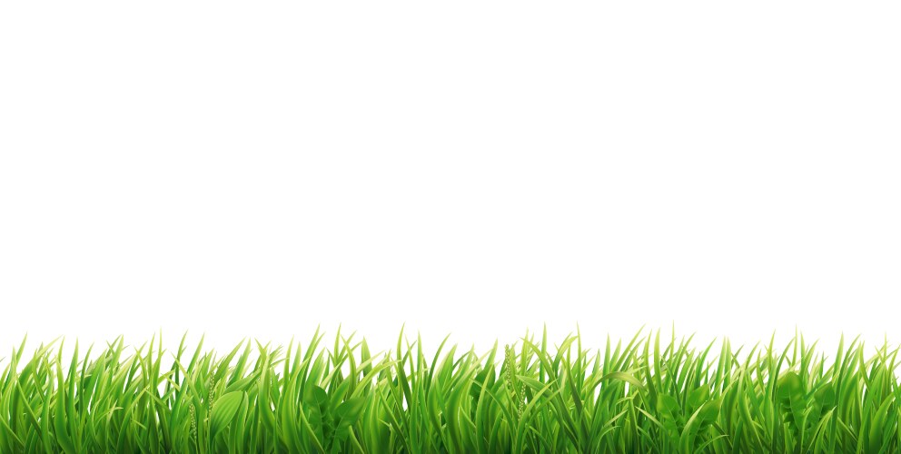 Spring grass seamless border floral Royalty Free Vector