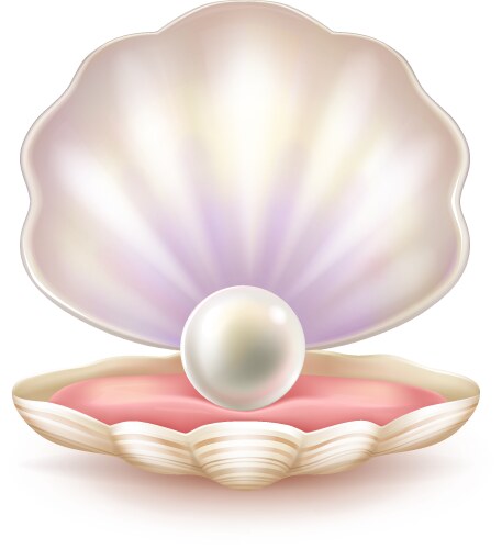 Realistic beautiful natural open sea pearl shell Vector Image