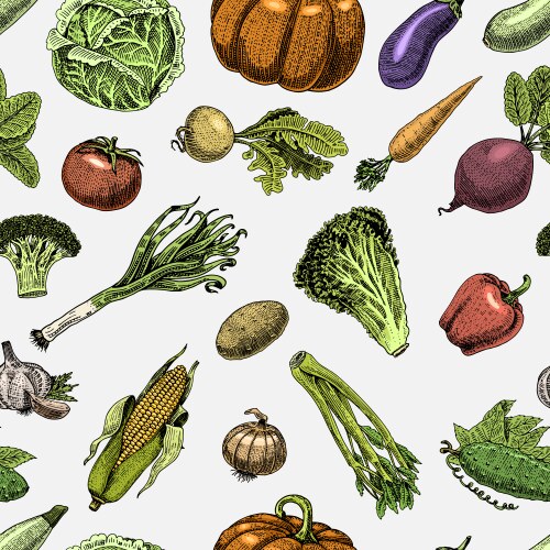 Sketch icons set of salads leafy vegetables Vector Image