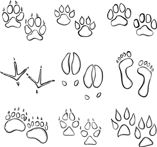 Free Paw Prints Vector Images (over 830)