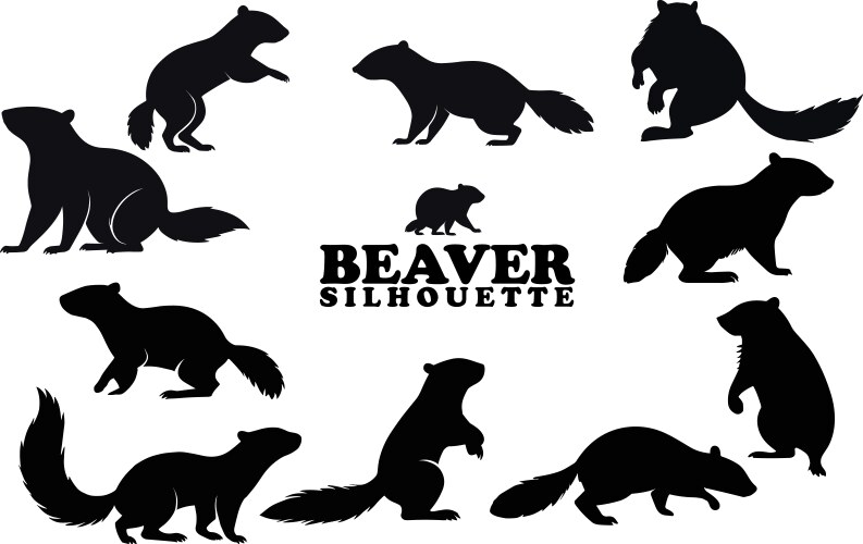 Beaver Royalty Free Vector Image - VectorStock