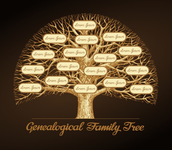 Family Tree Vector Images (over 47,000)