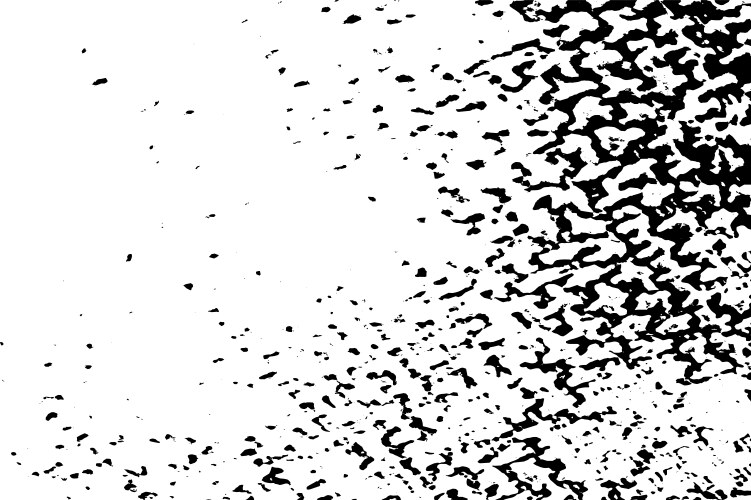 Racing grunge brush texture design auto rally Vector Image