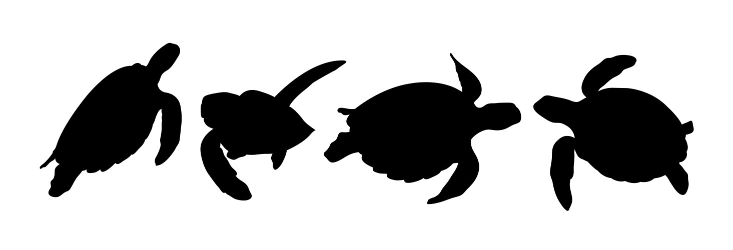 Green Sea Turtle Vector Images (over 4,700)
