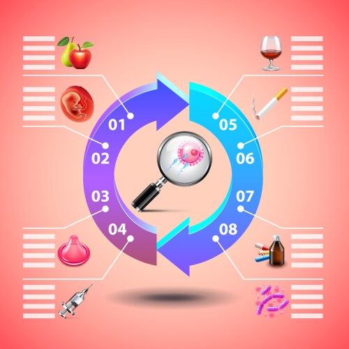 Pregnancy Infographic Vector Images (over 3,100)