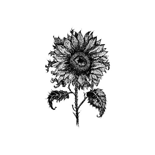 Sunflower tattoo Vector Images & Graphics for Commercial Use | VectorStock