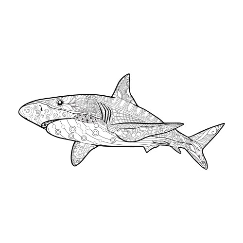 Shark Zentangle Coloring Page Royalty Free Vector Image