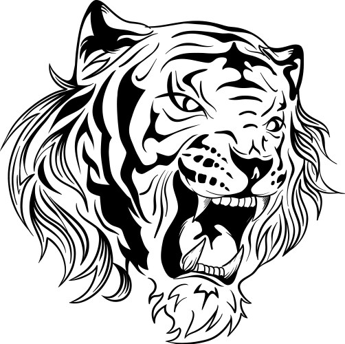 White Tiger Vector Images (over 78,000)