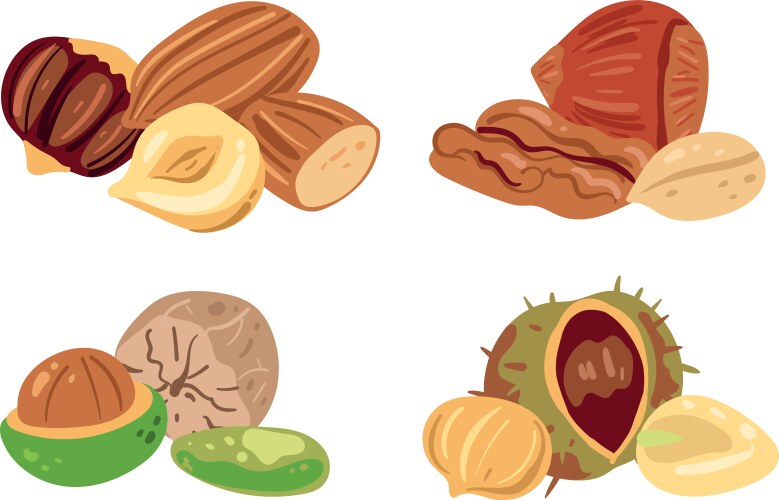 Realistic fresh nuts template Royalty Free Vector Image