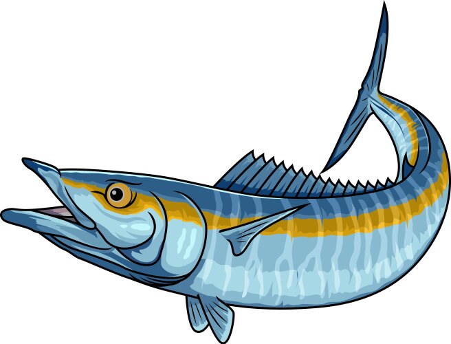 Wahoo Fish Vector Images (50)