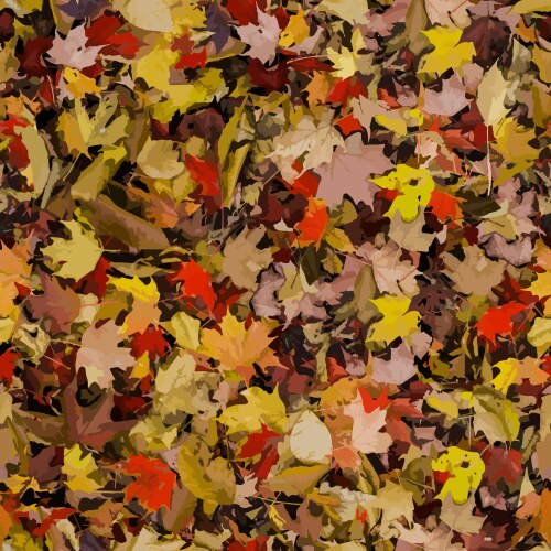 Realistic Forest Vector Images (over 13,000)