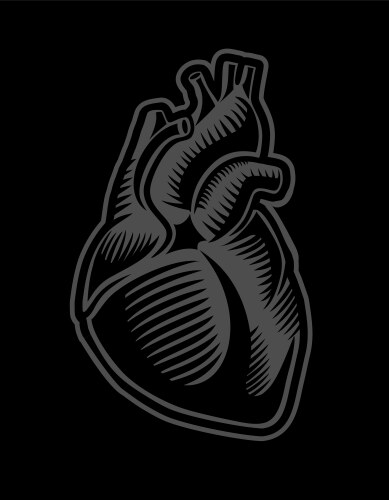Heart Vector Images (over 1.4 million)