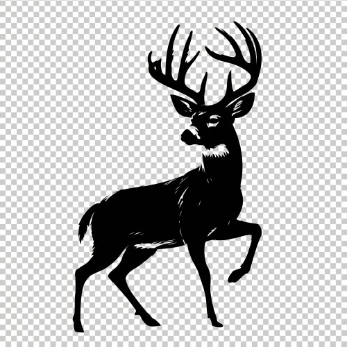 Whitetail Deer Vector Images (over 460)