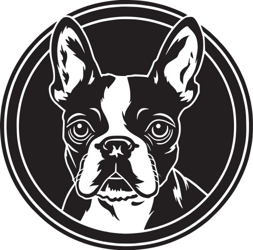 Boston terrier - minimalist and flat logo Vector Image