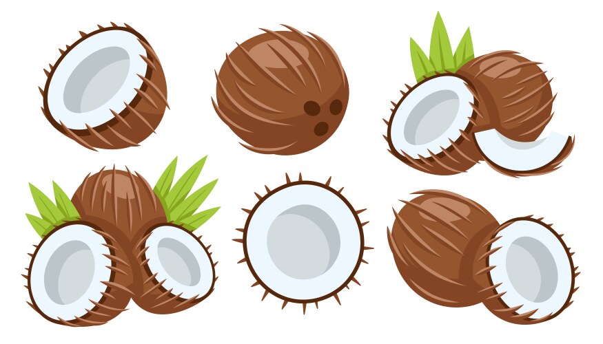 Coconut set Royalty Free Vector Image - VectorStock