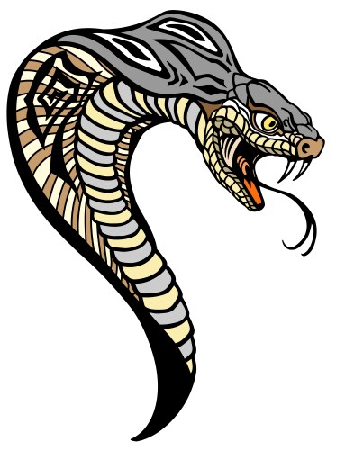 Snake Head Vector Images (over 6,300)