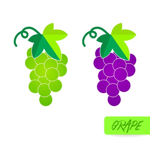 Fruit candy Royalty Free Vector Image - VectorStock