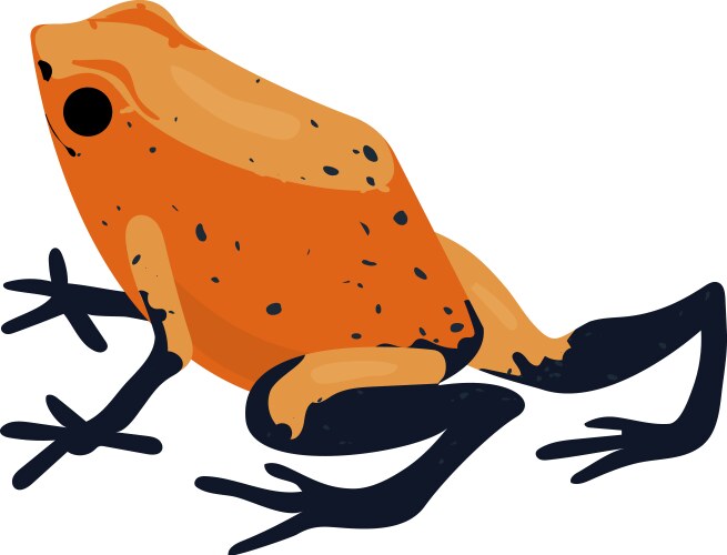 Coqui Vector Images (42)