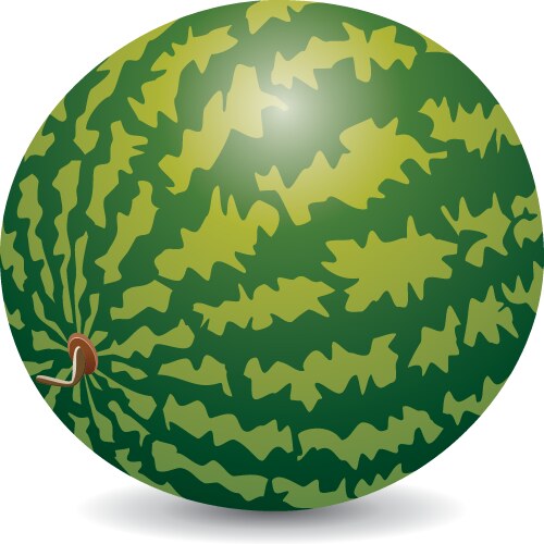Watermelon Vector Images (over 75,000)