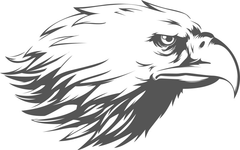 Eagle Outline Vector Images (over 10,000)