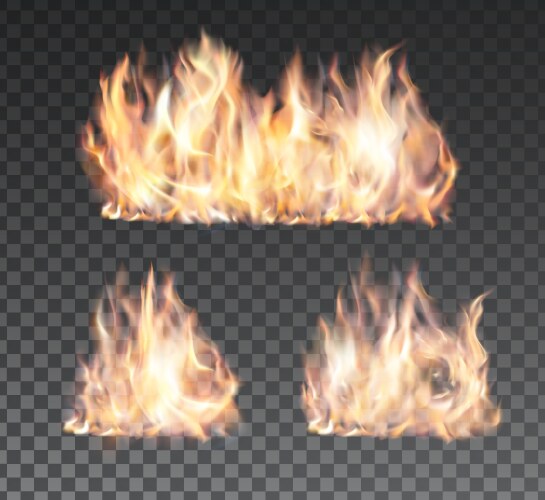 Realistic fire flames isolated Royalty Free Vector Image