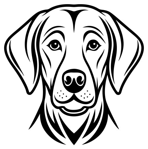 Labrador line art drawing Royalty Free Vector Image