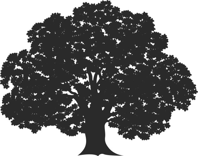 Oak Tree Vector Images (over 59,000)