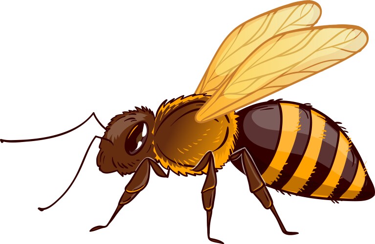Bee Cartoon Vector Images (over 30,000)