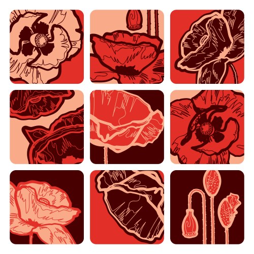 Poppy Vector Images (over 22,000)