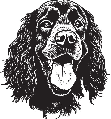 Cocker spaniel - minimalist and flat logo Vector Image
