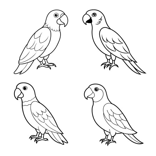 Parrot Vector Images (over 35,000)