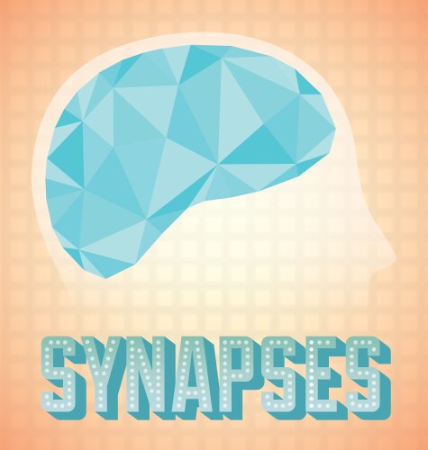 Brain showing synapses activity Royalty Free Vector Image