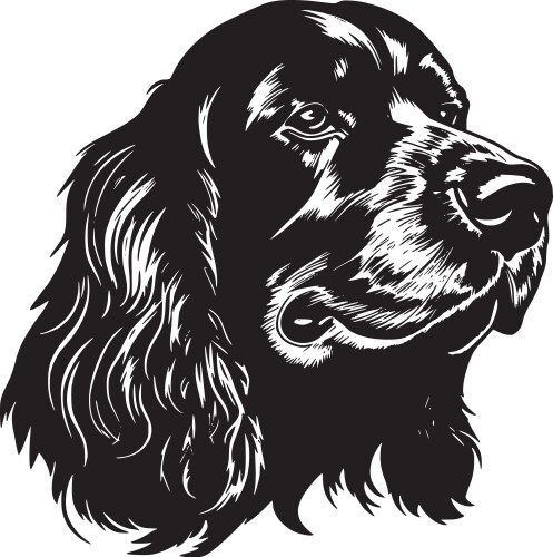 Cocker spaniel - black and white isolated icon Vector Image