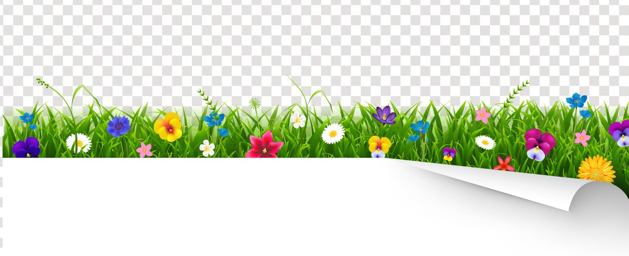 Environmental Border Vector Images (over 2,800)