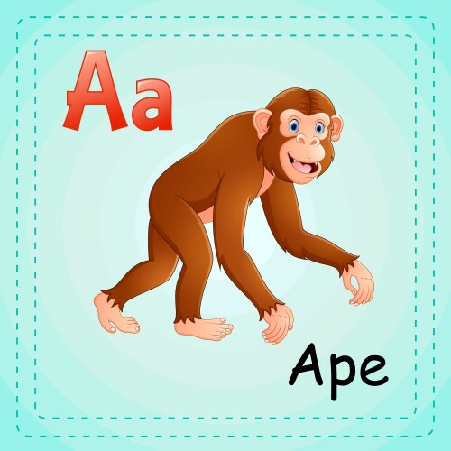 Animals alphabet a is for ape Royalty Free Vector Image