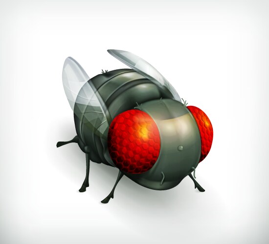 Fly Vector Images (over 900,000)