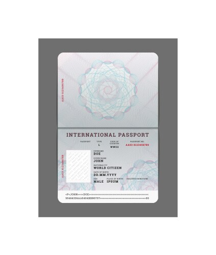 Blank open passport template isolated Royalty Free Vector