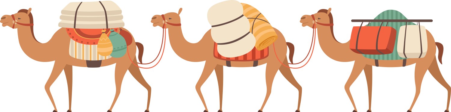 Cartoon camel funny desert animals with saddle Vector Image