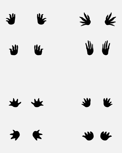 Crocodile Footprint Vector Images (over 360)