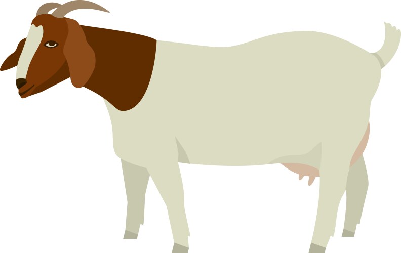 Boer Goat Vector Images (97)