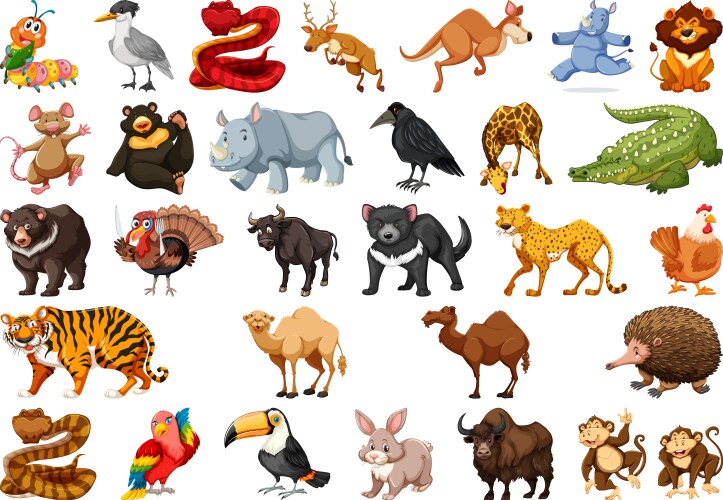 Cartoon animals collection set Royalty Free Vector Image