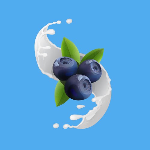 Blueberry Splash Vector Images (over 840)