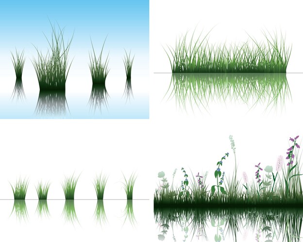 Grass on water Royalty Free Vector Image - VectorStock