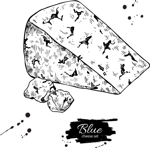 Emmental cheese drawing hand drawn food sketch Vector Image